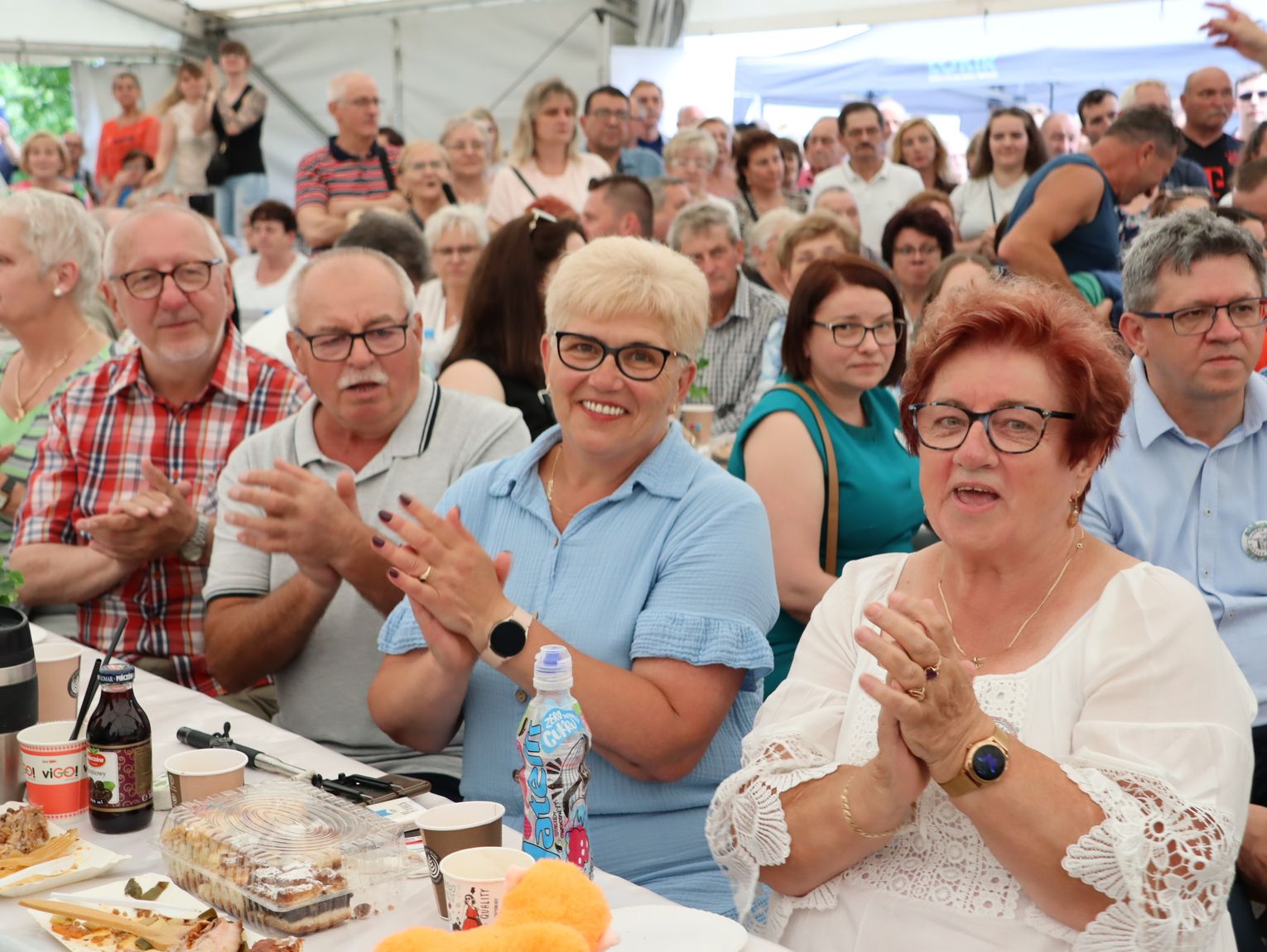 800-lecie Zalesia Śląskiego. Tłumy bawiły się podczas głównego dnia ...